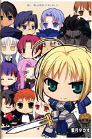 Fate/side side materiale complete | Tsuki-kan